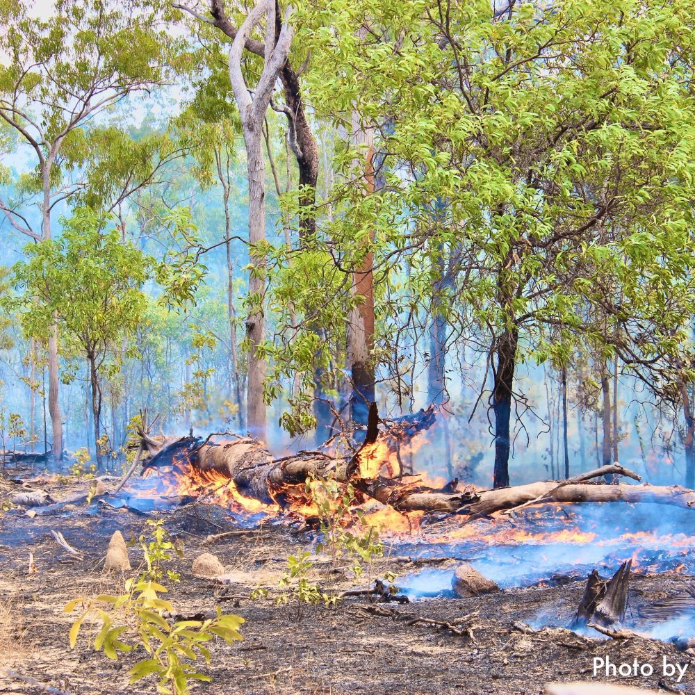 Olkola Aboriginal Corporation - Country